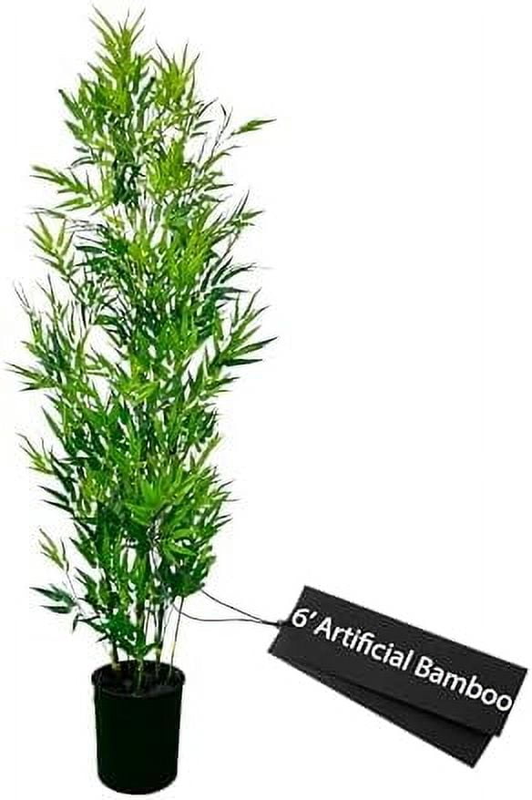 6ft Artificial Bamboo Plant, Handmade Designer Tree, Hypoallergenic, 6 ...