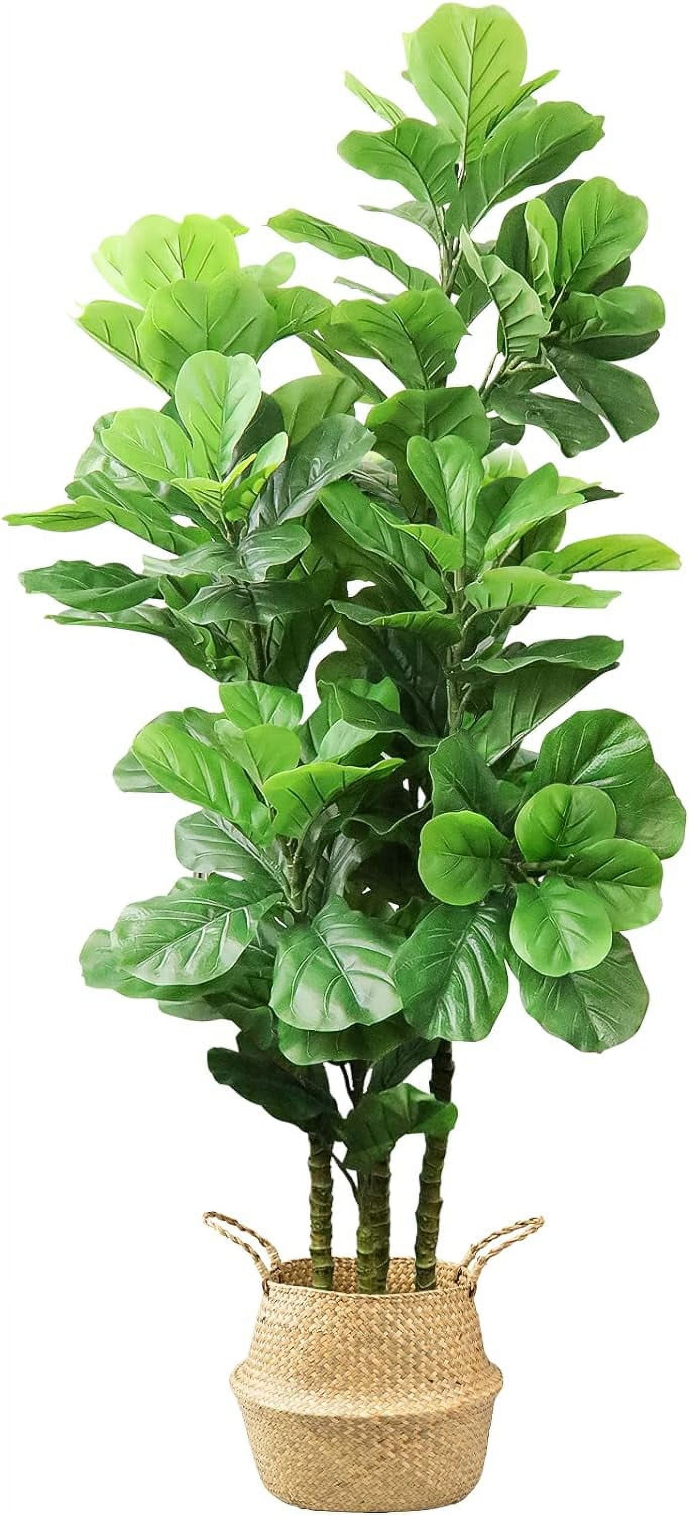 6ft Artificial Fiddle Leaf Fig Tree with Woven Seagrass Plant Basket ...