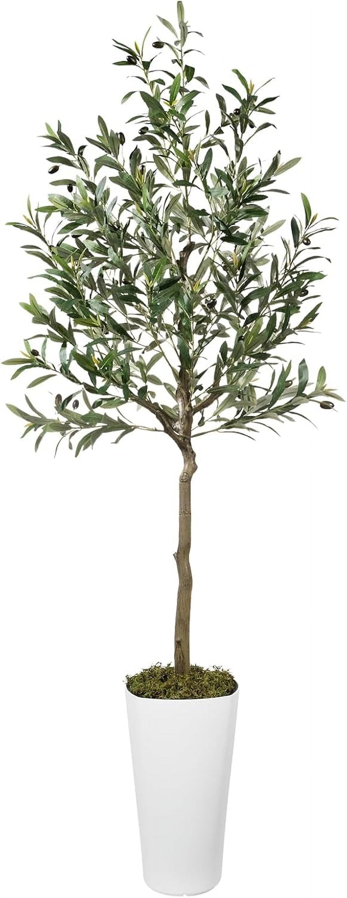 6ft Artificial Olive Tree with Pot - Fake Plants Indoor - Realistic Large Faux Potted Tree with ...
