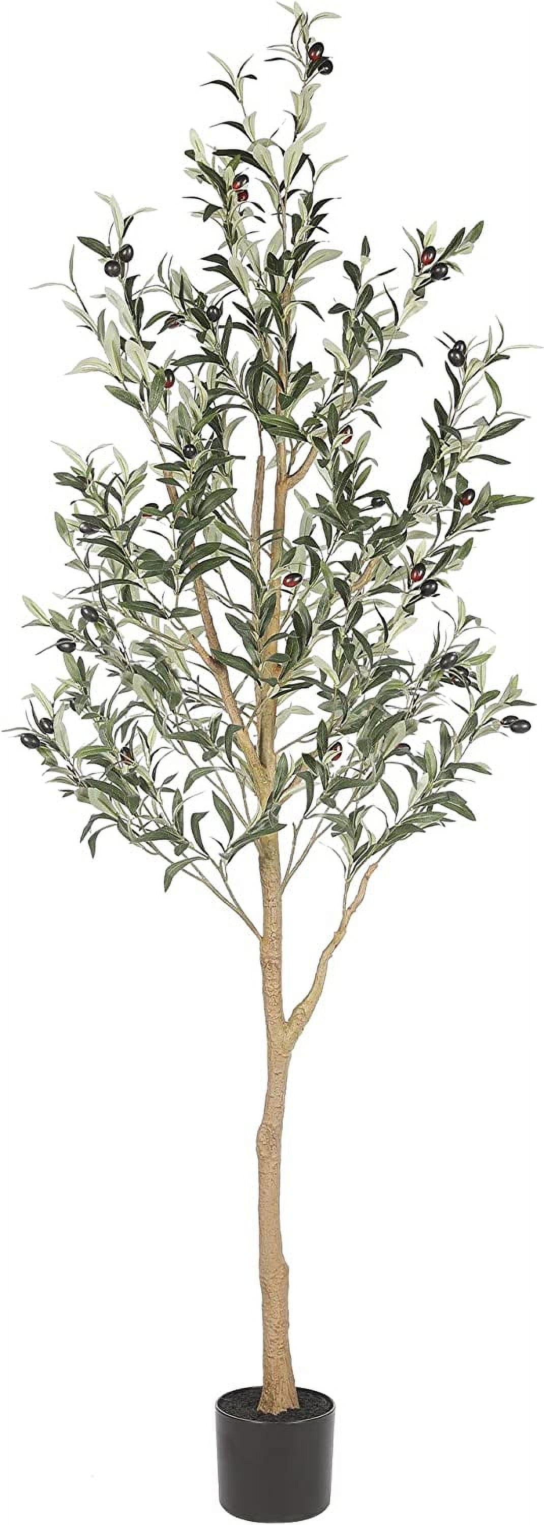 6ft Artificial Olive Tree with Branches and Fruits for Indoor Floor ...