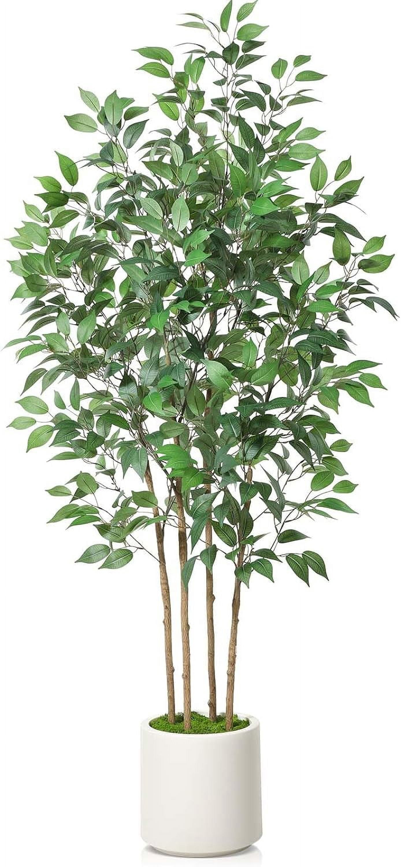 6ft Artificial Silk Tree in White Ceramic Planter with Green Moss ...