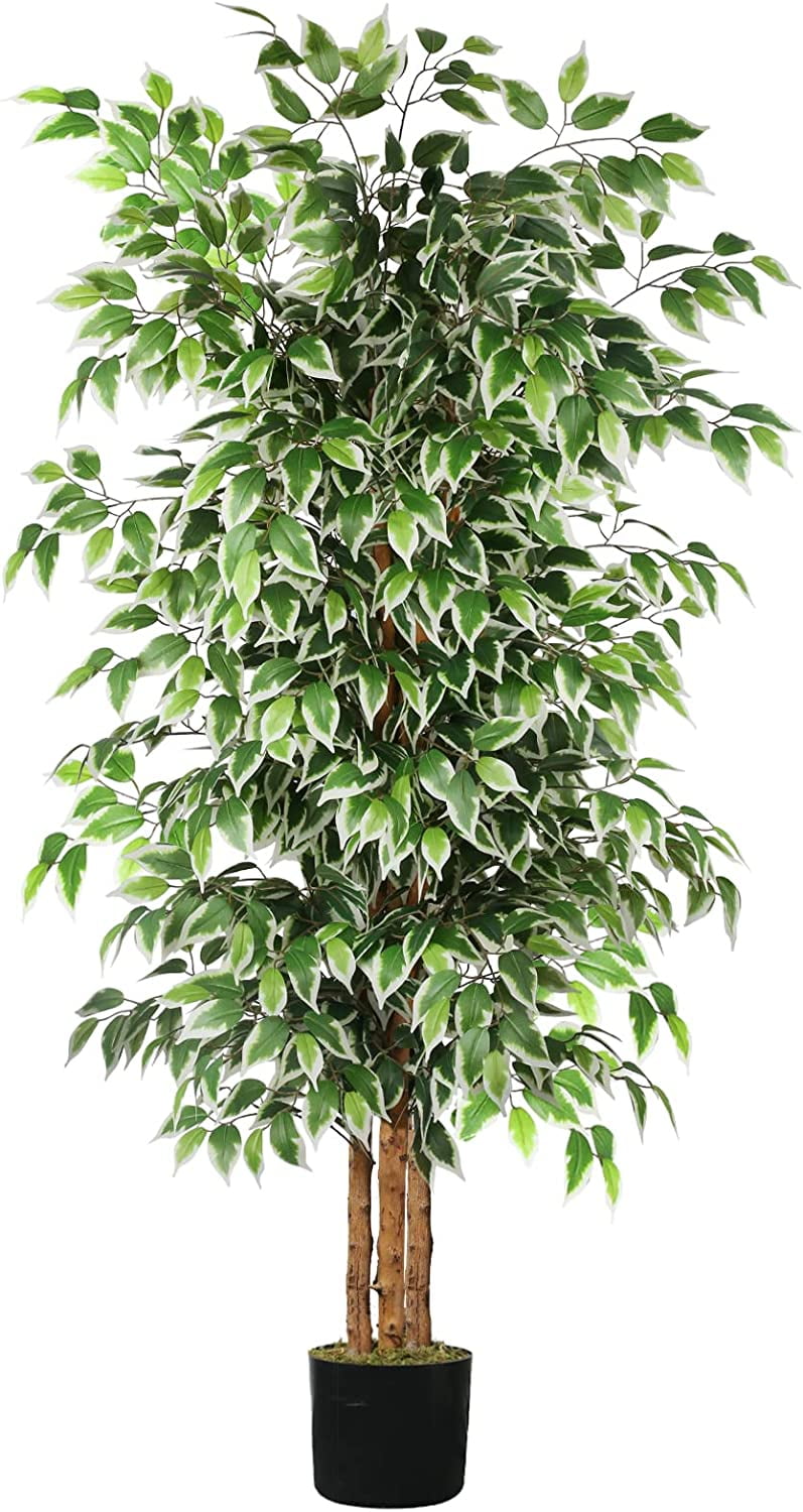 6ft Artificial Tree Ficus, Tall Faux Trees Indoor with Natural Trunk ...