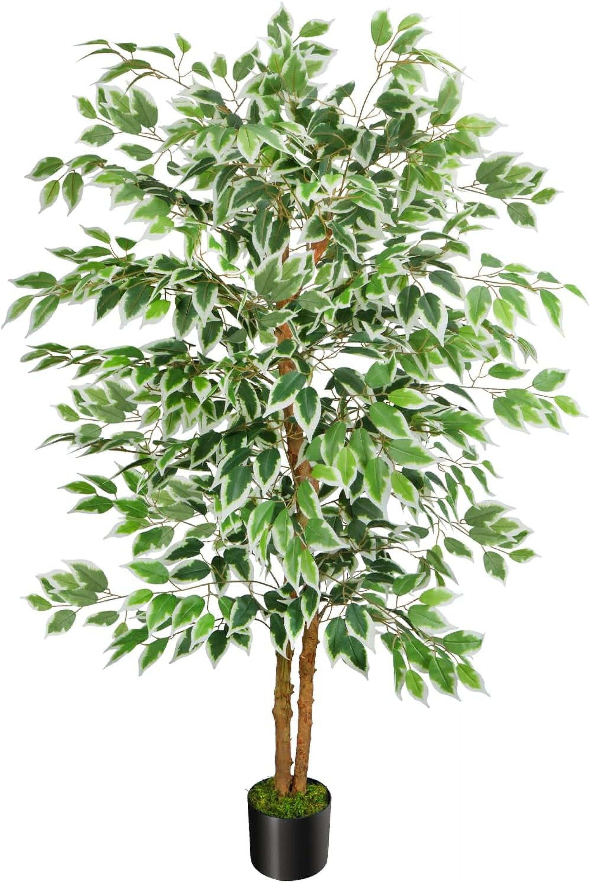 6ft Artificial Tree Ficus, Tall Faux Trees Indoor with Natural Trunk ...