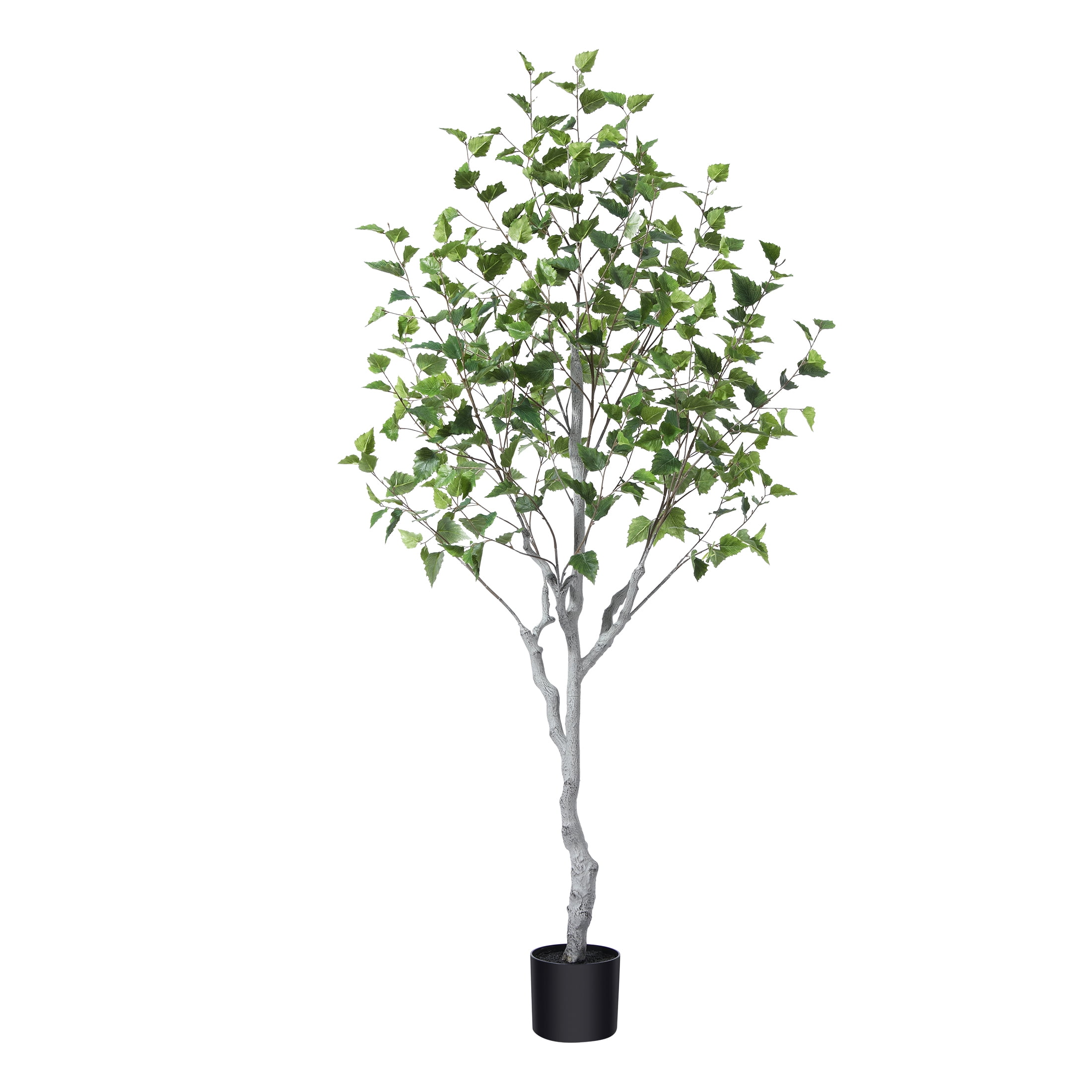 6ft Fake Plastic Betula Tree in Pot, Pre Potted Faux Greenry Plant for ...