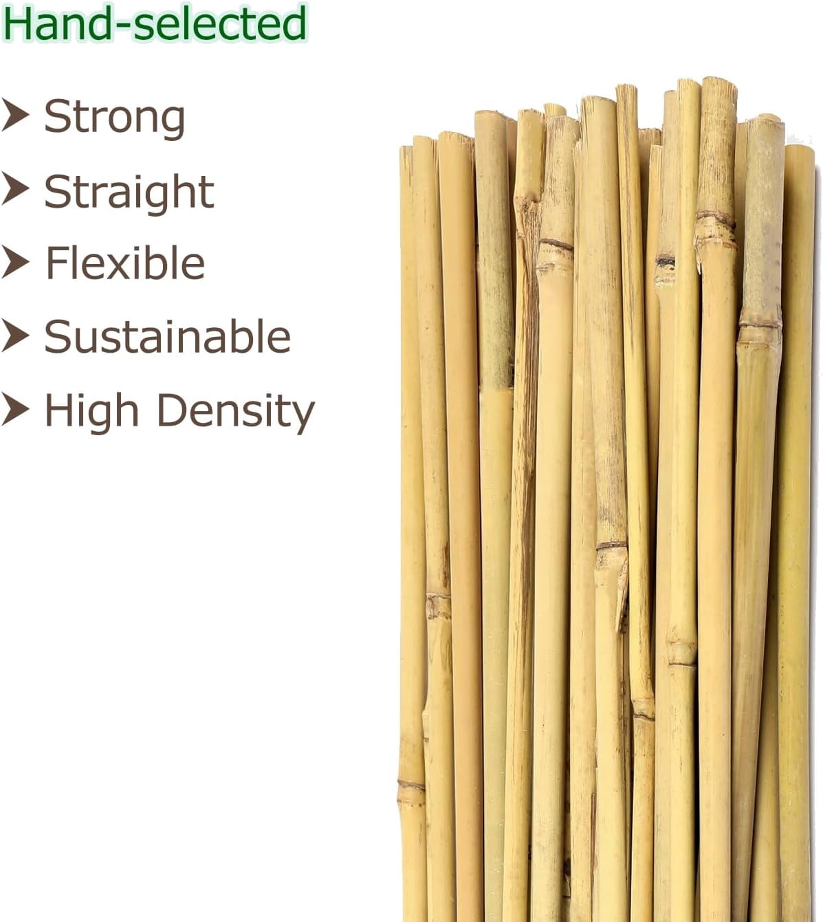 6ft Garden Stakes Plant Support for Tomatoes Beans Climbing Plants ...