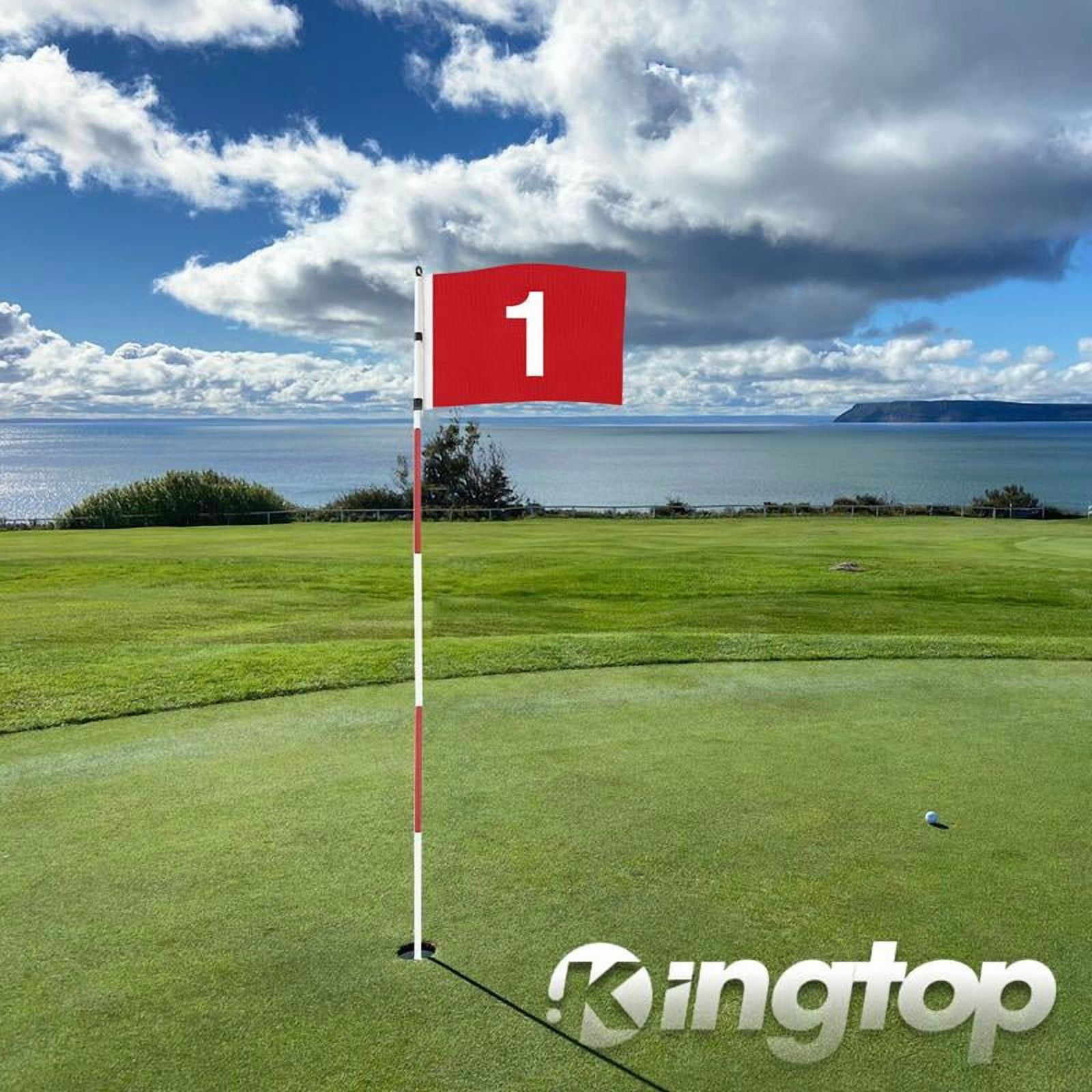 6ft Golf Flagstick Pro, Portable Five-Section Design for Backyard Practice Putting Green ...