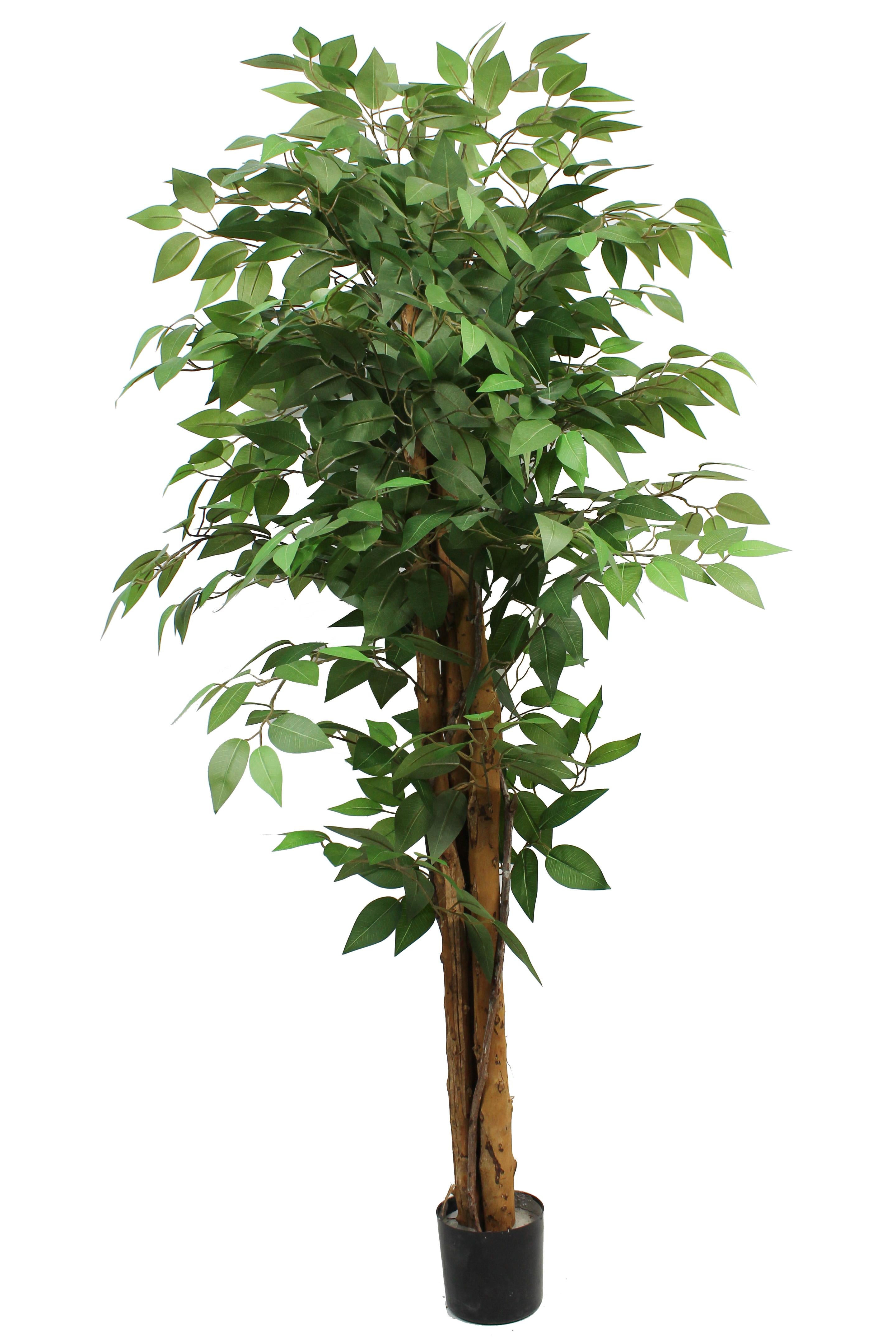 6ft Innovative Artificial Banyan Tree with Natural Wood Trunk and ...