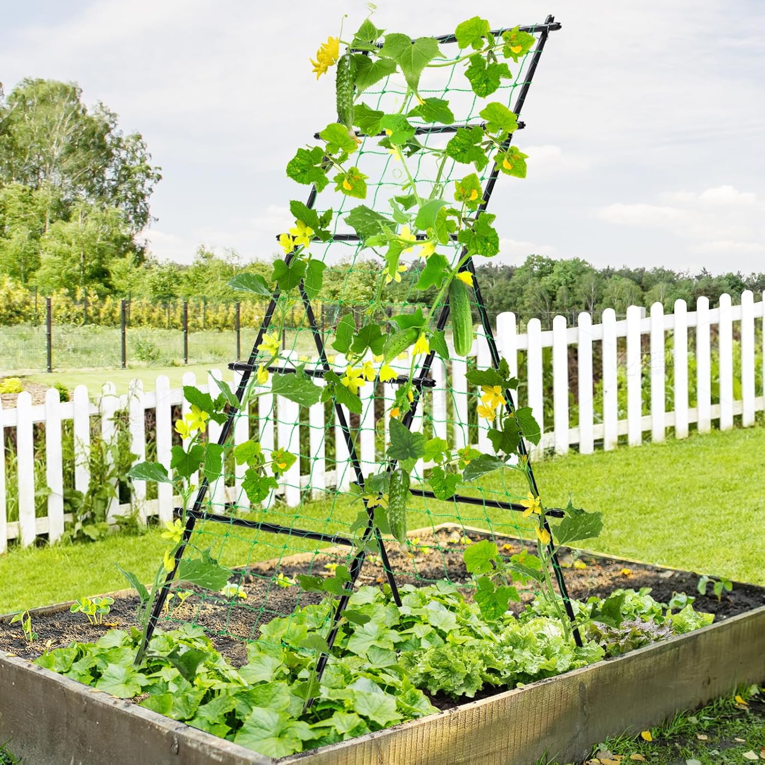 6ft Metal A-Frame Cucumber Trellis for Raised Bed, Outdoor Plant ...