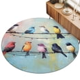 6ft Round Rug Colorful Birds Area Rugs for Living Room Bedroom Washable ...