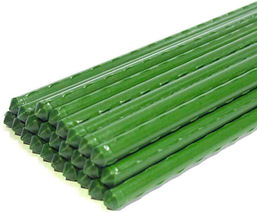 6ft Tomato Stakes Plant Stake Supports Garden Fences Trellis Metal ...