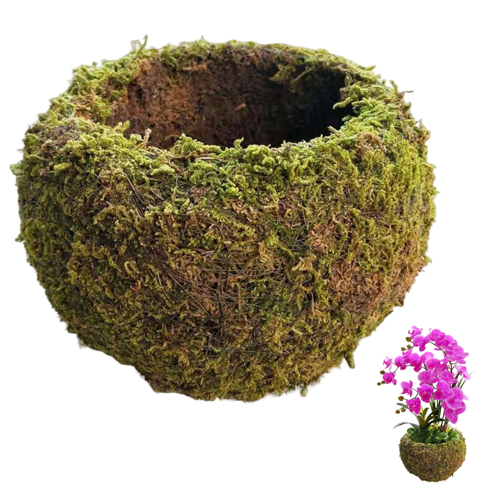 Bird Nest Natural Planter Moss Ball Flower Pot Bonsai Plant Holder ...