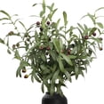 6pcs 38 Inch Faux Olive Branches For Vase Artificial Tree Eucalyptus ...
