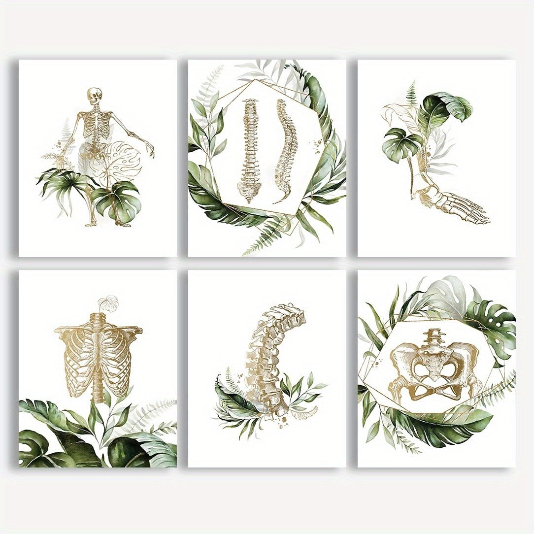 6pcs Frameless Orthopedic Art Prints - Medical Surgeon Gift, Physical ...