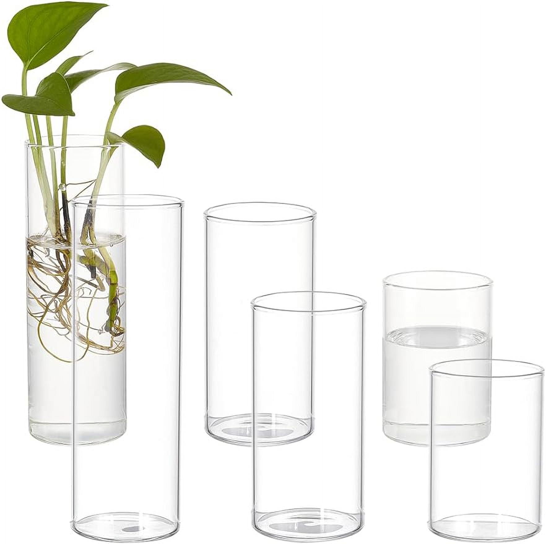 6pcs Glass Cylinder Vases 3 Styles Column Glass Vase Decoration Clear ...