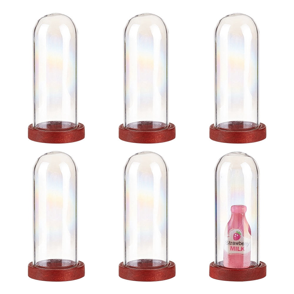 6pcs Glass Dome Cover Decorative Display Case Cloche Bell Jar Terrarium ...