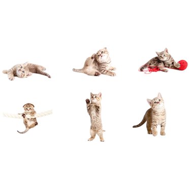 DC Fix Ava Static Window Film - Walmart.com