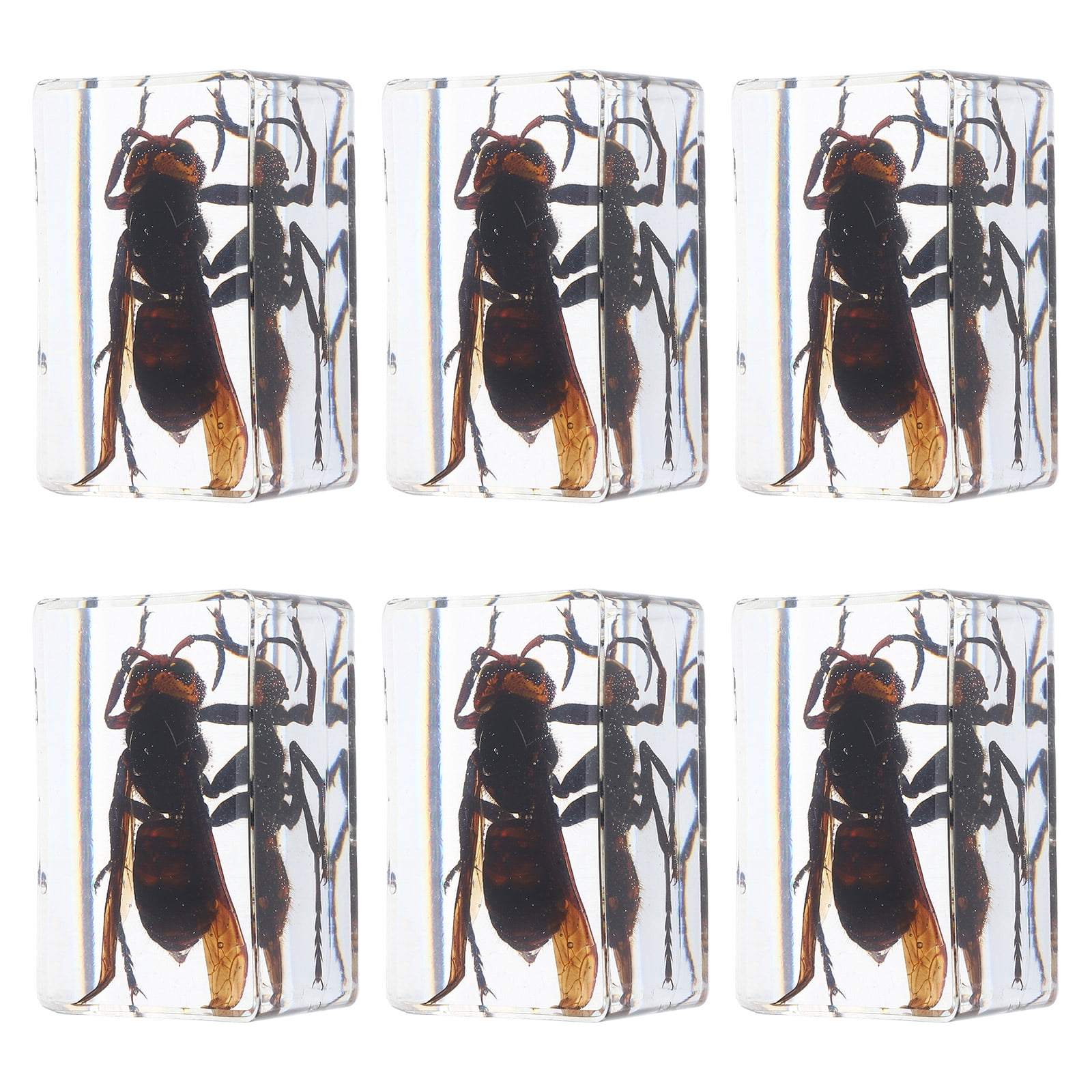 6pcs Mini Wasp Figures Insect Specimen Paperweights Resin Bugs Figurine ...