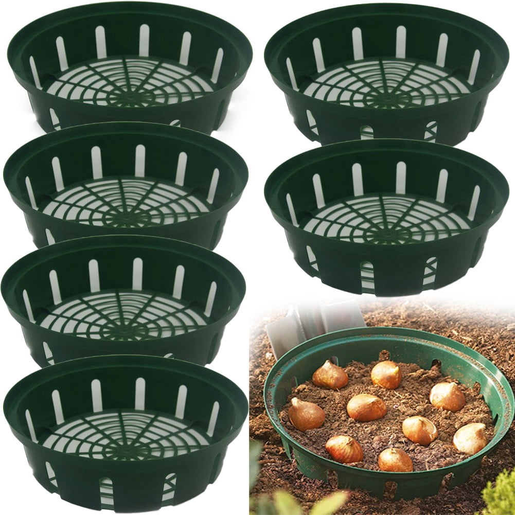 Bulb Basket