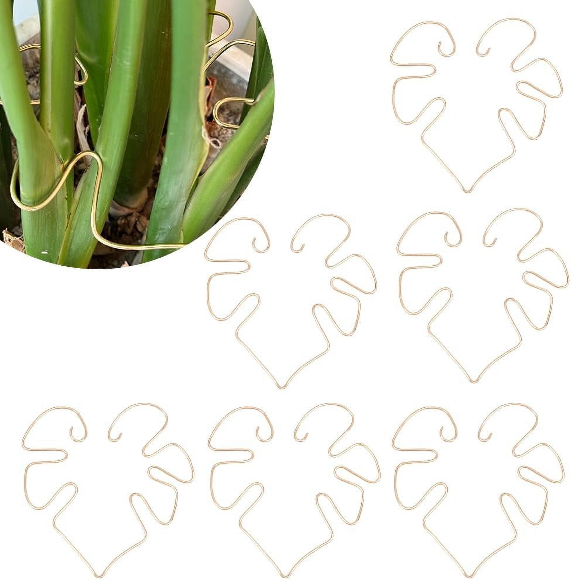 6pcs Plant Climbing Stem Supports Monstera Leaf Stabilizer Grapple ...