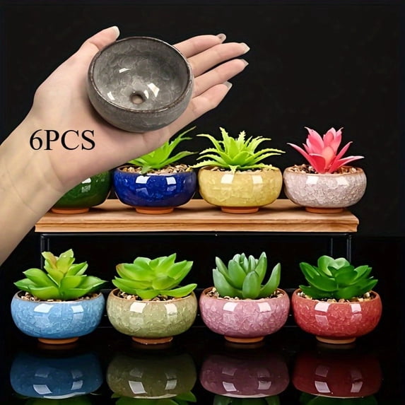 6pcs Resin Succulent Plant Pots with Drainage Holes, Colorful ...