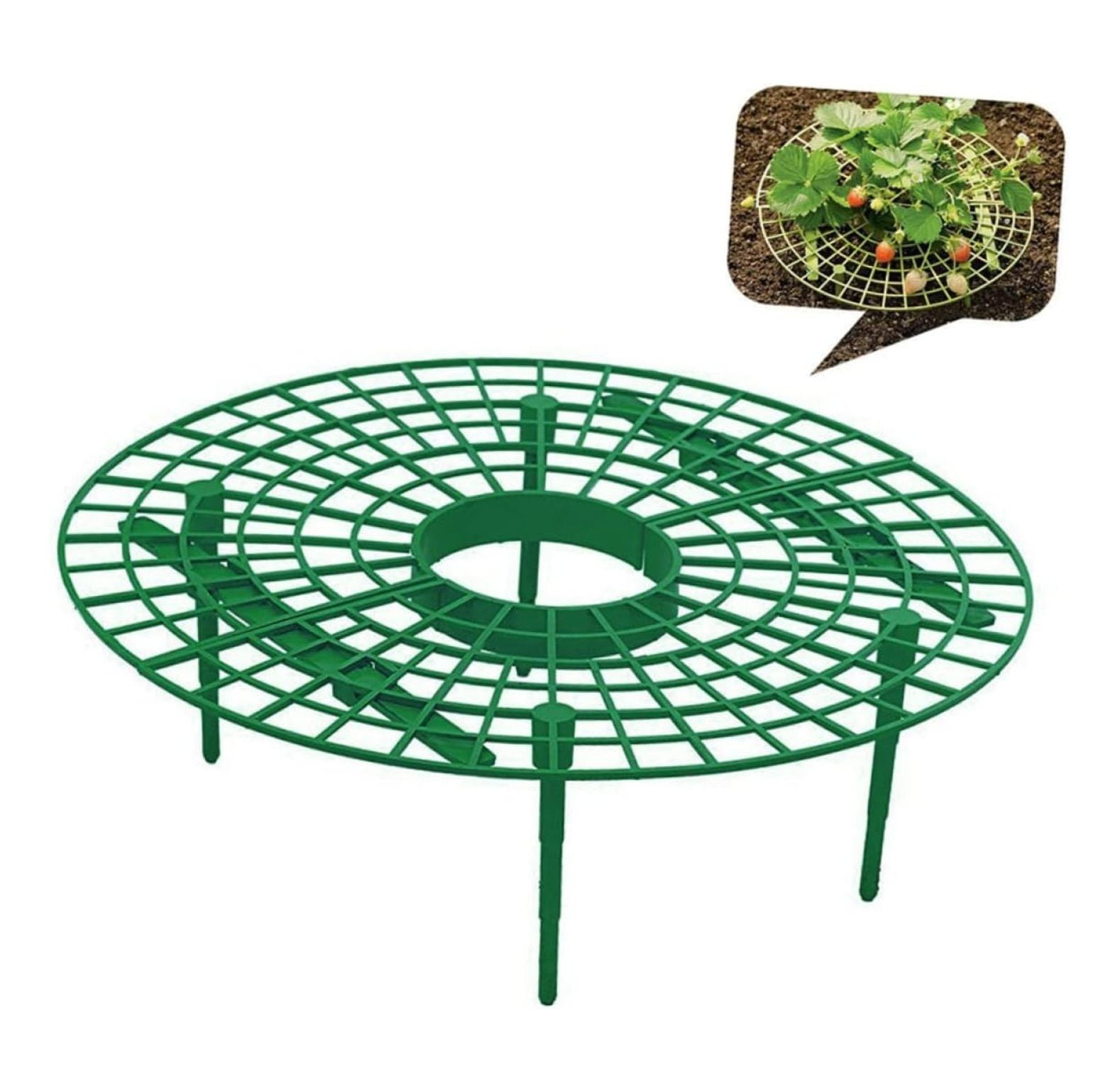 6pcs Strawberries Off Strawberry Growing Frame Strawberry Garden ...