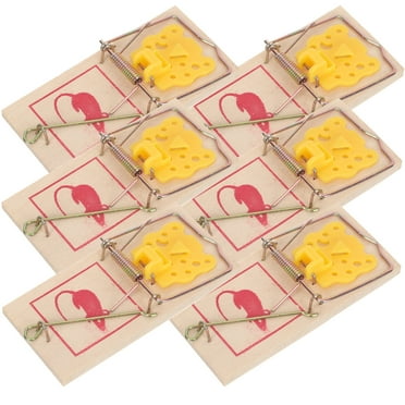 d-CON Reusable Covered Mouse Snap Trap, Easy to Set, Humane Kill, 1 ...