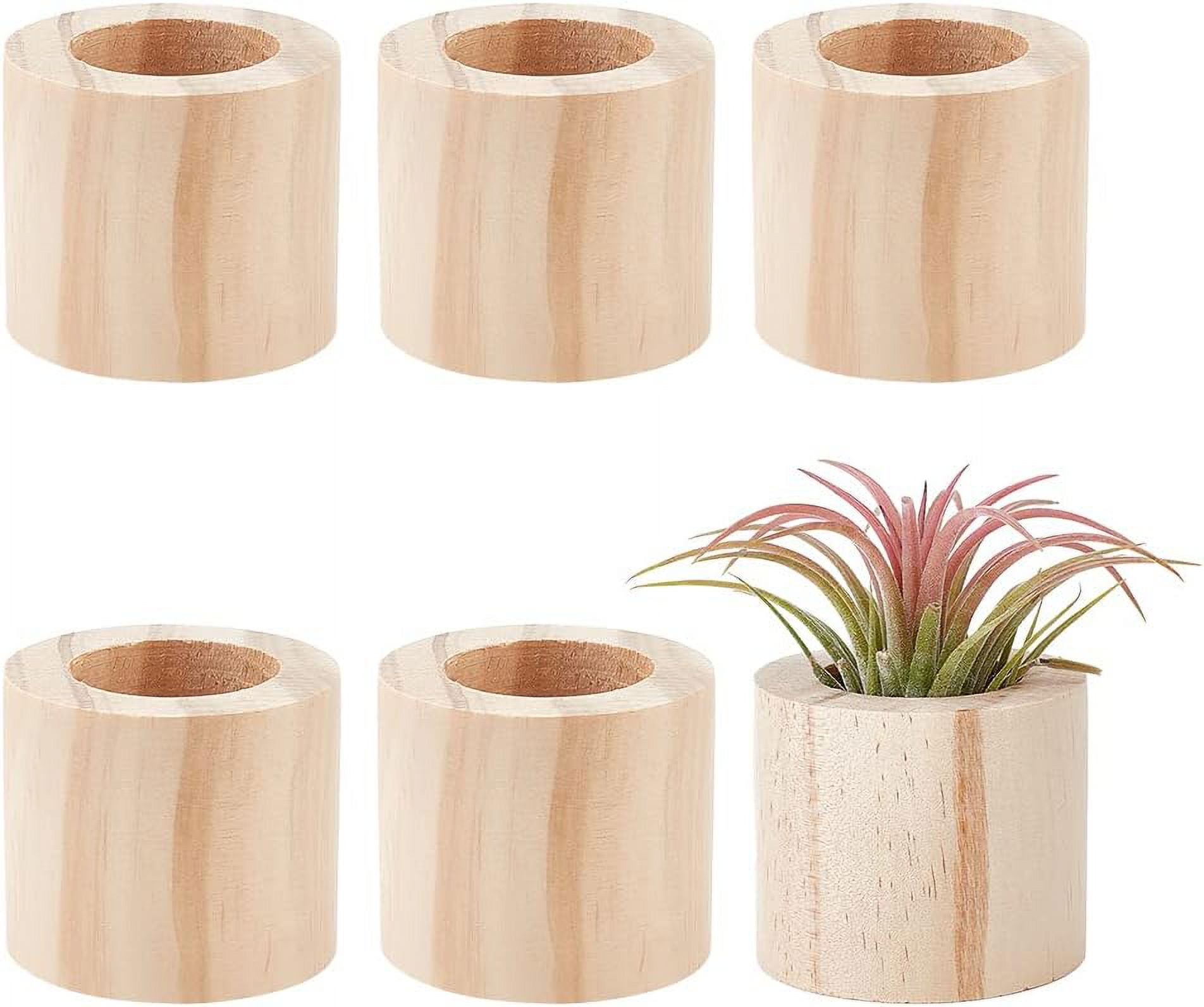 6pcs Wooden Wood Air Plant Holder Tillandsia Stand Succulent Pot Column ...