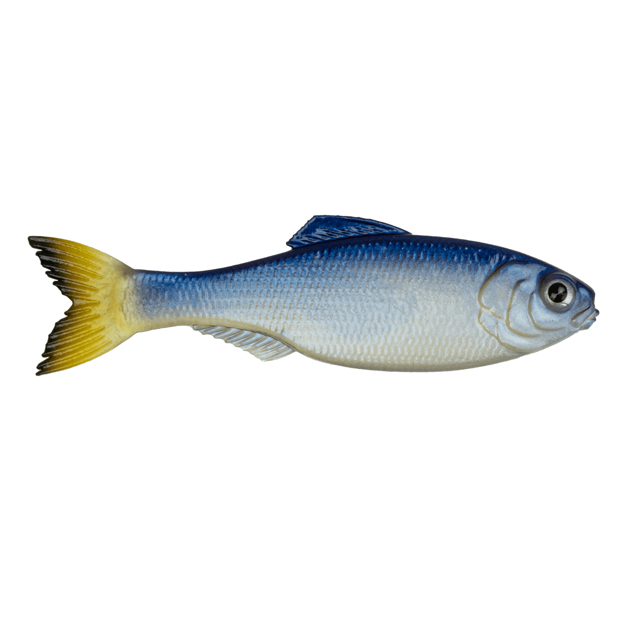6th Sense Panorama Soft Plastic Lure – Realistic Forage Imitation ...