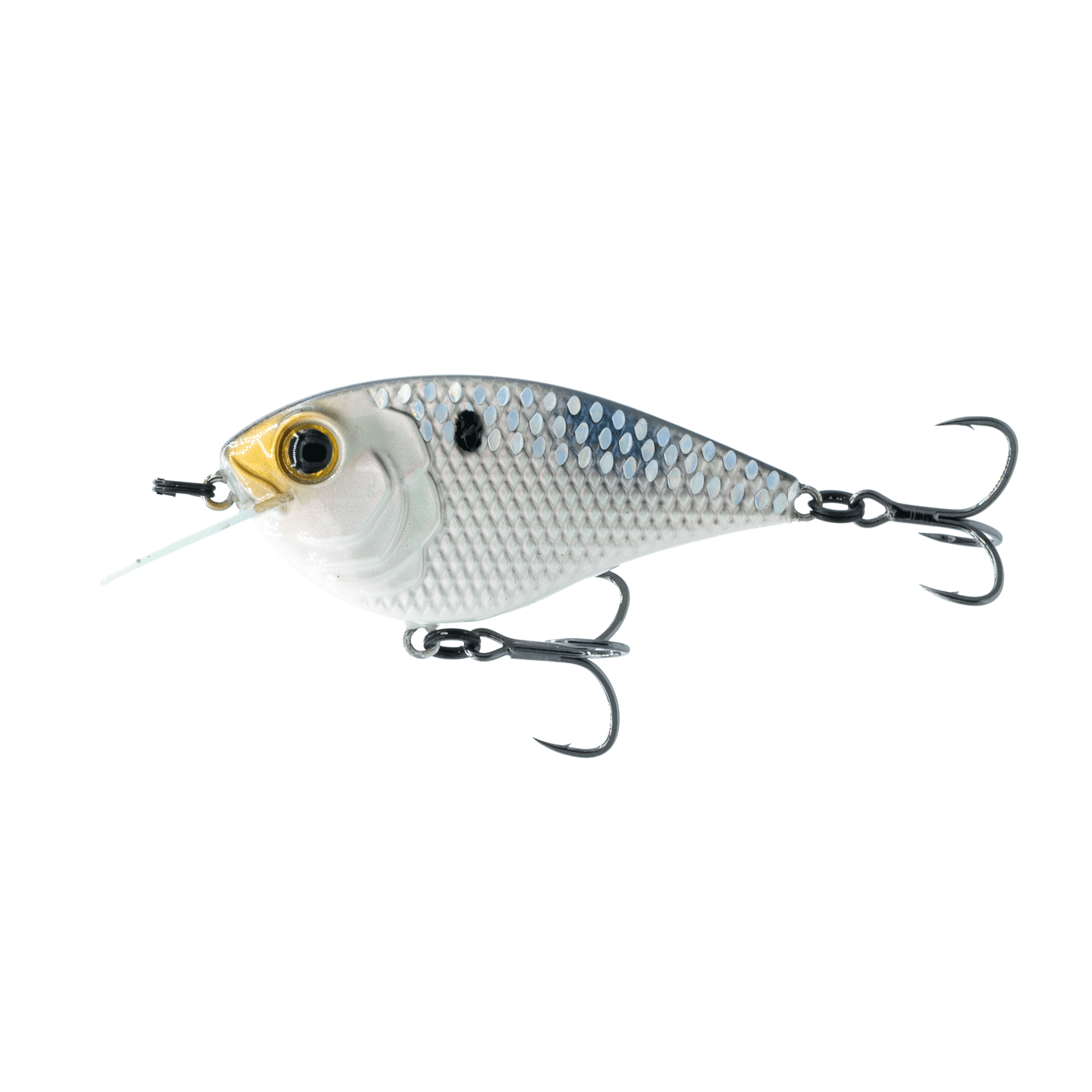 6th Sense Flat Finesse F4 Crankbait – Great Castability with Tight ...