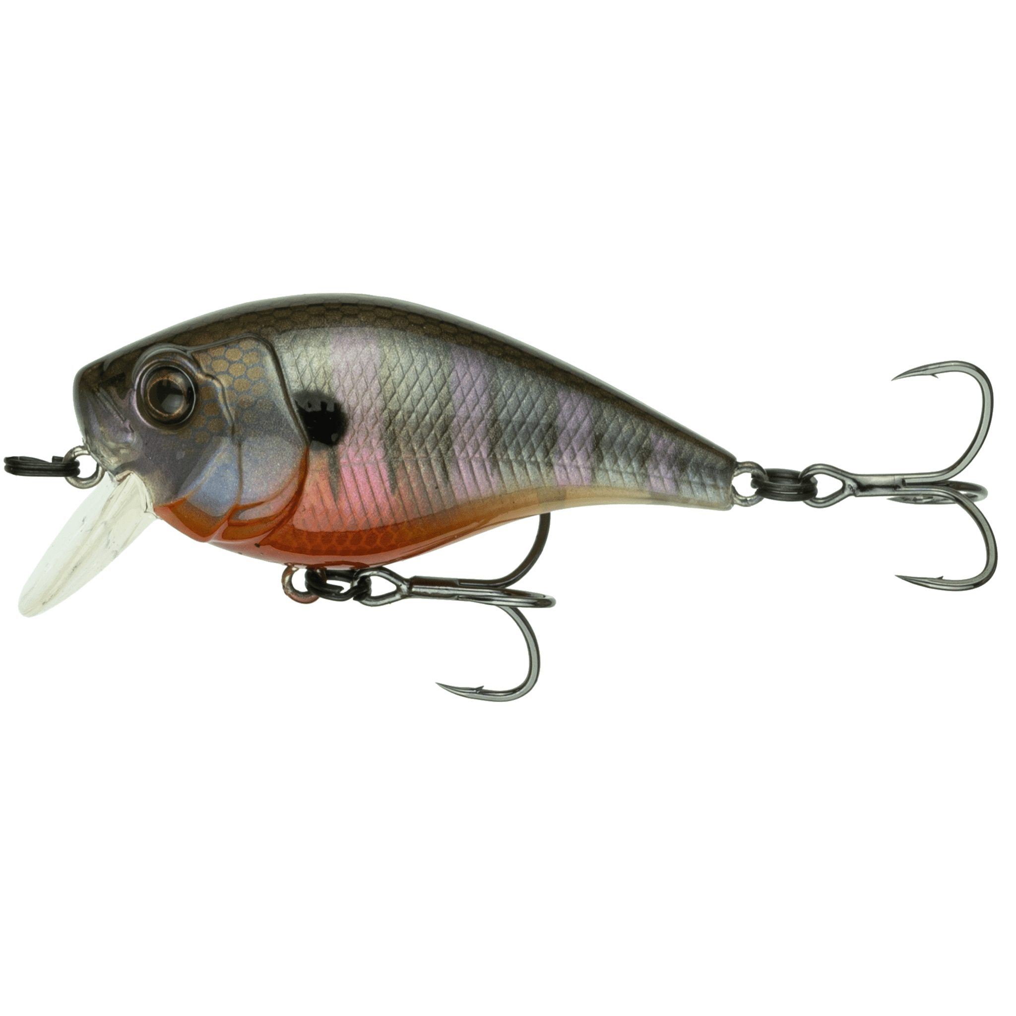 6th Sense – Munch 2.5 Shallow Diving Crankbait Bass Fishing Lure, 2–3 ...