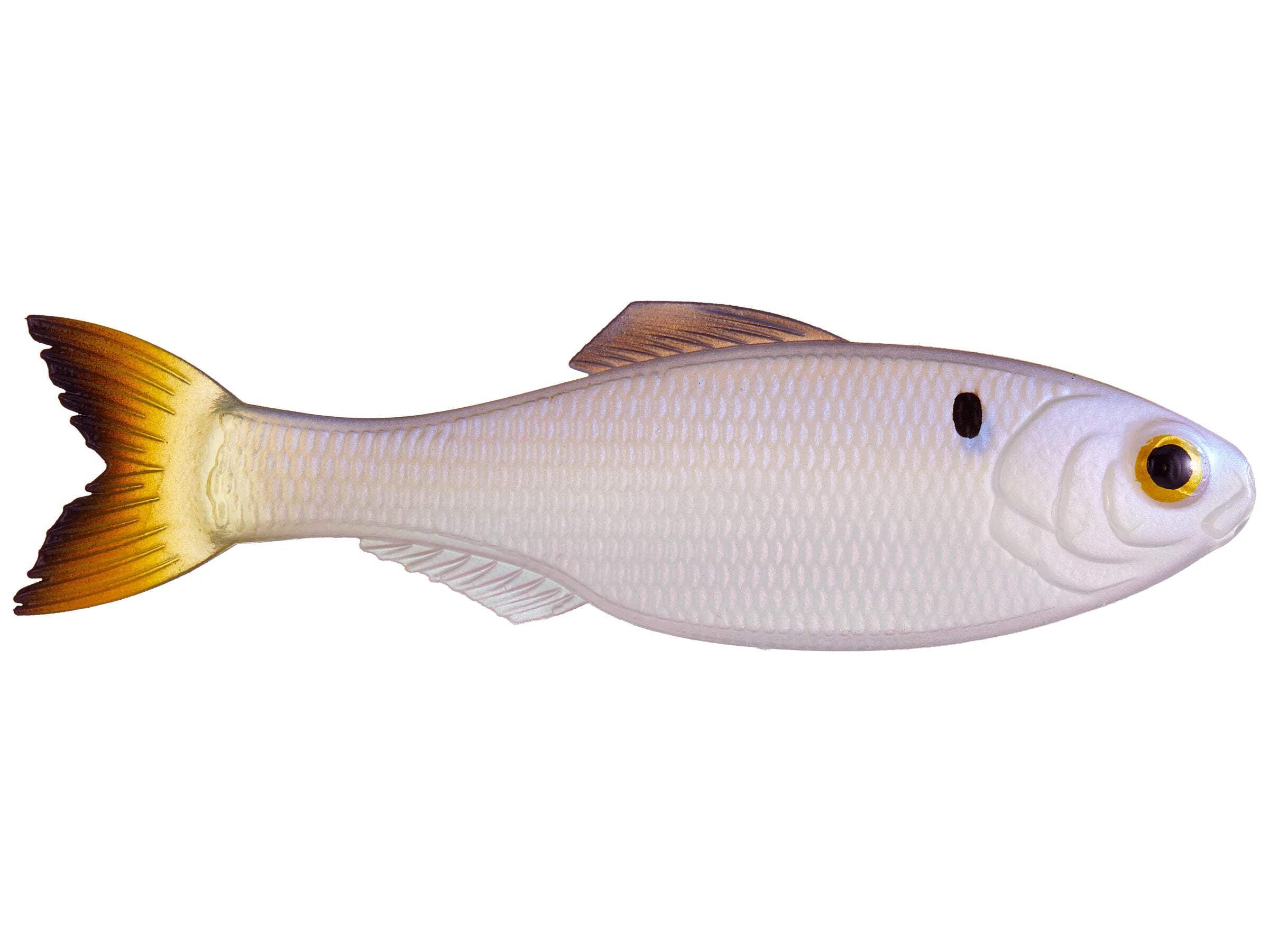 6th Sense Panorama 5.0 Soft Swimbait – Bass & Crappie Fishing Lure ...