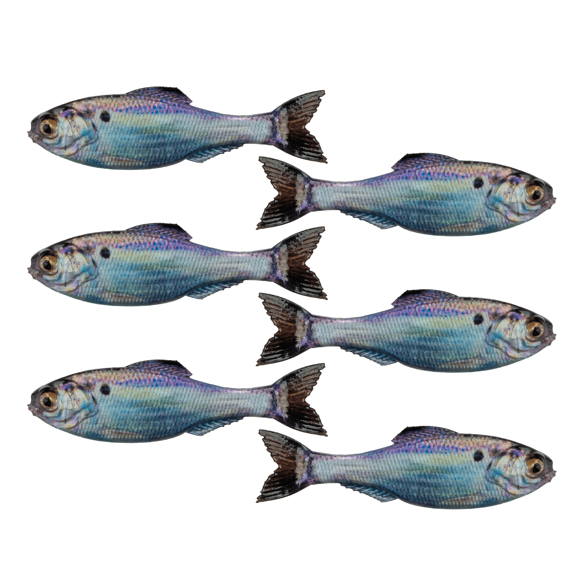 6th Sense Panorama Soft Plastic Lure - Realistic Forage Imitation ...