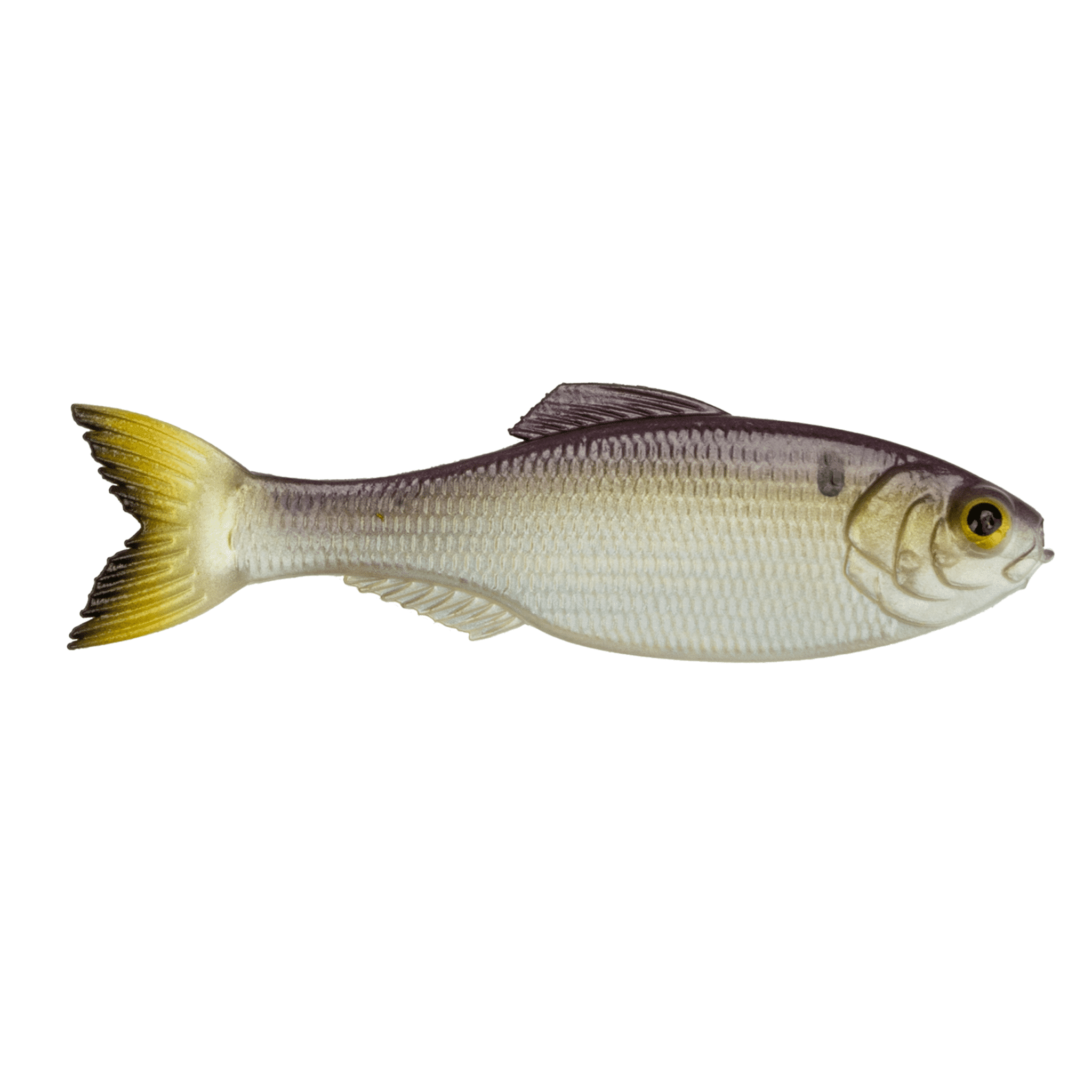 6th Sense Panorama 5.0 Soft Swimbait – Bass & Crappie Fishing Lure ...