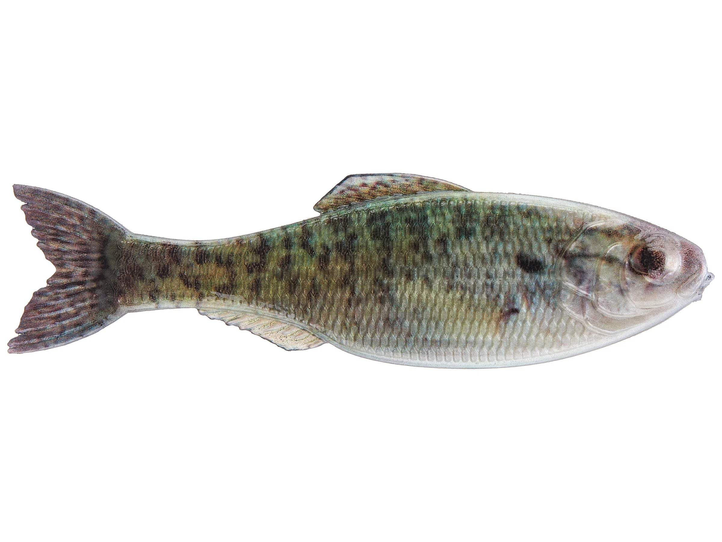 6th Sense Panorama 5.0 Soft Swimbait – Bass & Crappie Fishing Lure ...