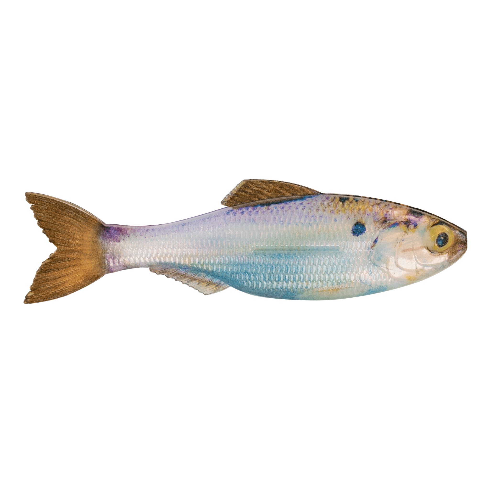 6th Sense - Plump Panorama – Bass Fishing Lure – Extra Thick Body ...