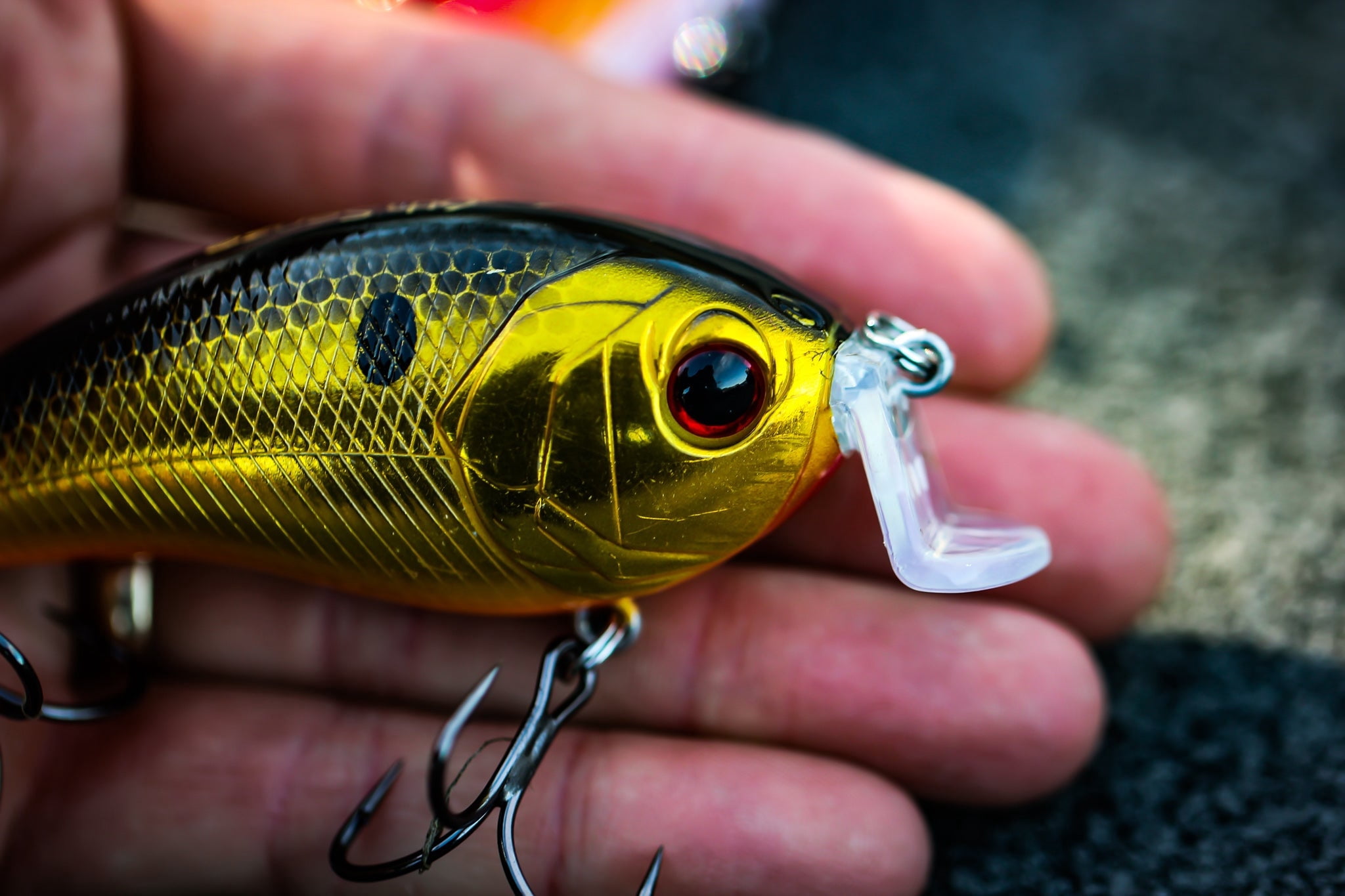 6th Sense Swank Series L-Style Crankbait – Premium Power Crankbait with ...