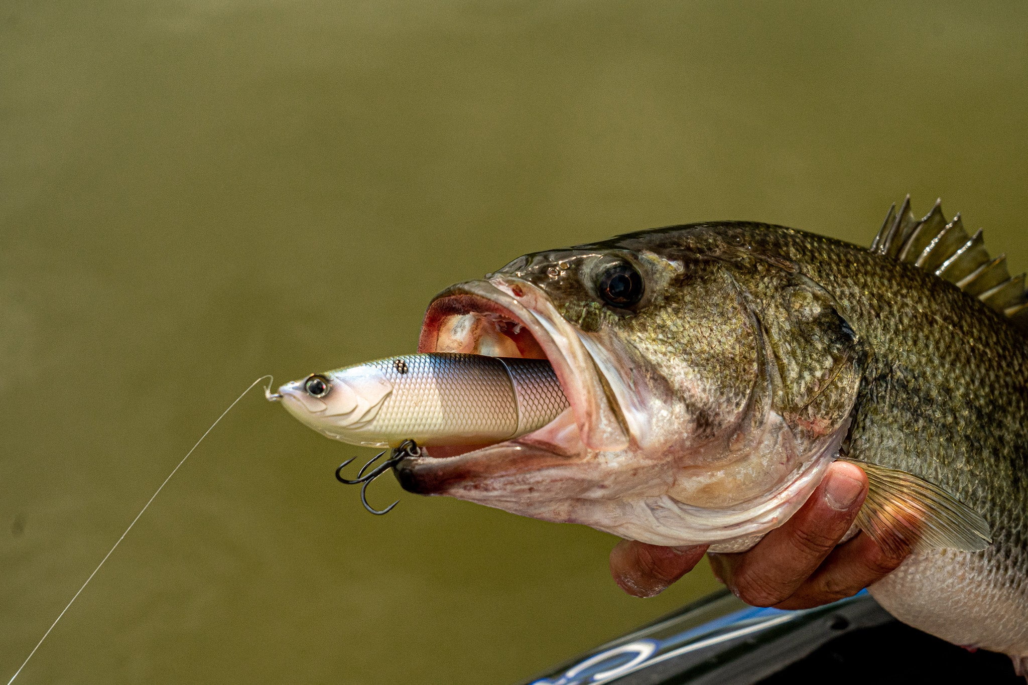 6th Sense – Draw 6.5 – Glide Bait – Bass Fishing – Designed with Pro ...