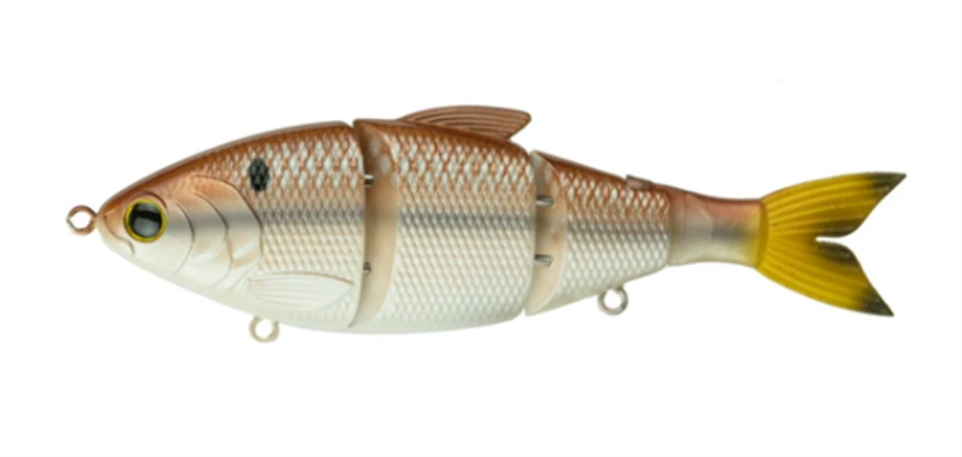 6th Sense – Trace 6.0 – Multi-Jointed Swimbait – Bass Fishing (4K ...