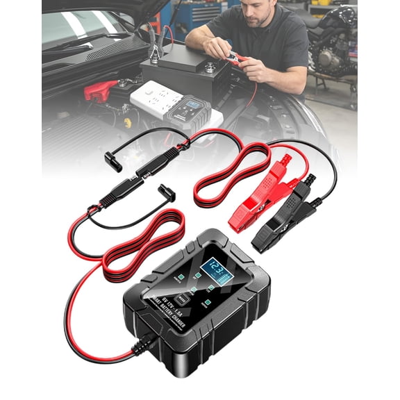 Intelligent Pulse Repair Battery Charger