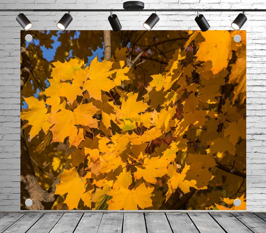 6x4ft Autumn Backdrop Golden Maple Leaf Scenery Photo Backdrop ...