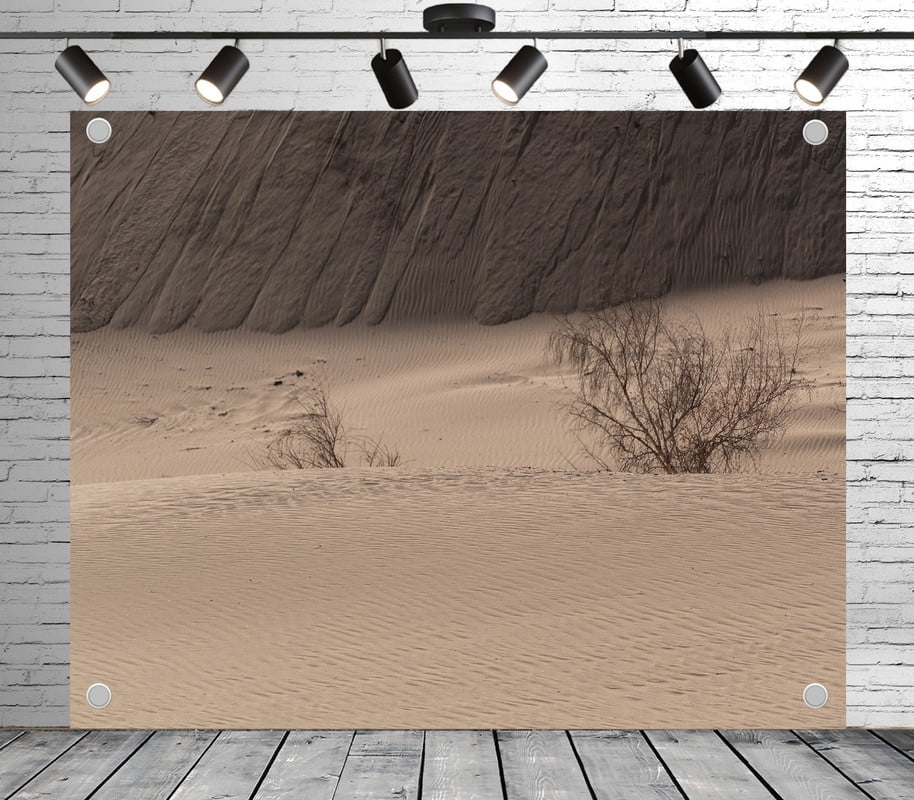 6x4ft Desert Dune Backdrop – Rippled Sand, Dry Shrubs & Sand Cliff ...