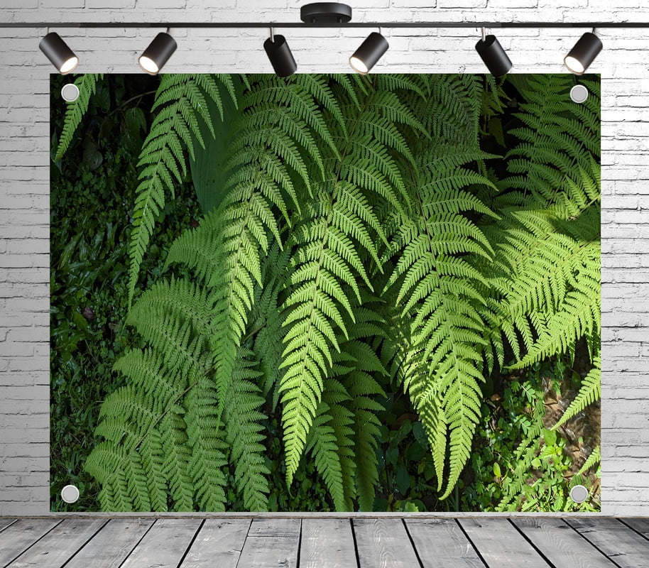 6x4ft Lush Green Fern Backdrop Photoshoot Photo Backdrop Nature Scenery ...