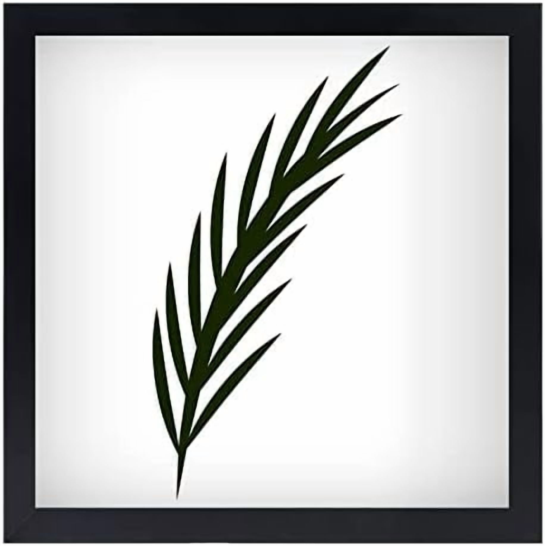 6x6 Picture Frame in Black, Photo Frames with Plexiglass, Horizontal ...