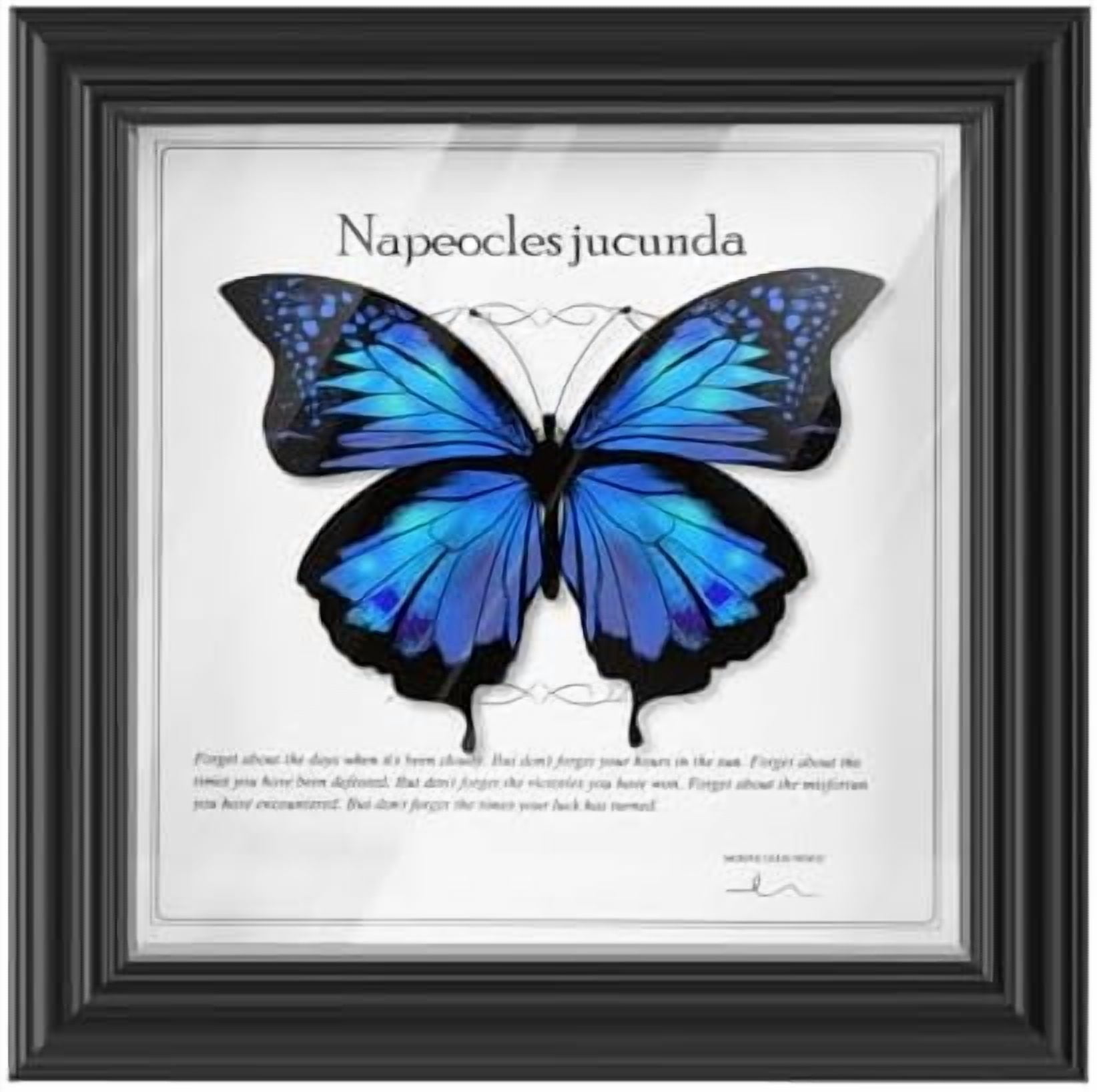 6x6 Small Shadow Box Frame with Glass, Display Size 5.5x5.5 Shadowbox ...