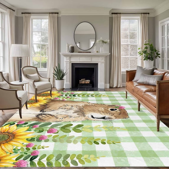 6x9 Area Rugs for Living Room, Groundhog Day Non Slip Area Rugs for ...