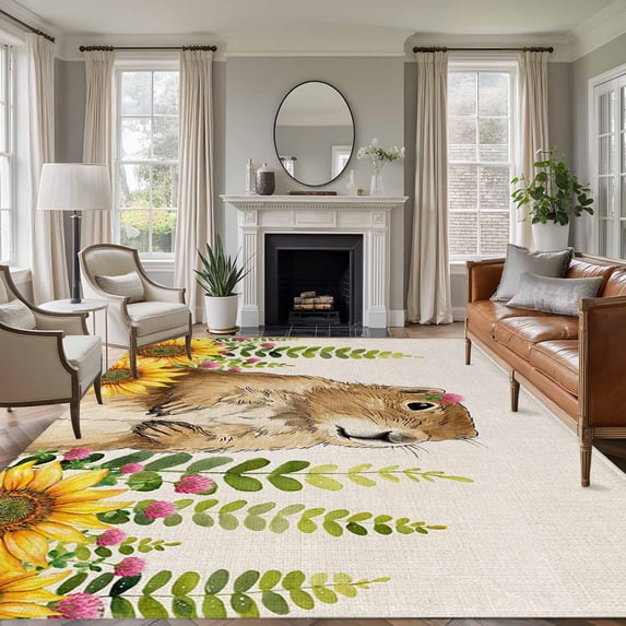 6x9 Area Rugs for Living Room, Groundhog Day Non Slip Area Rugs for ...