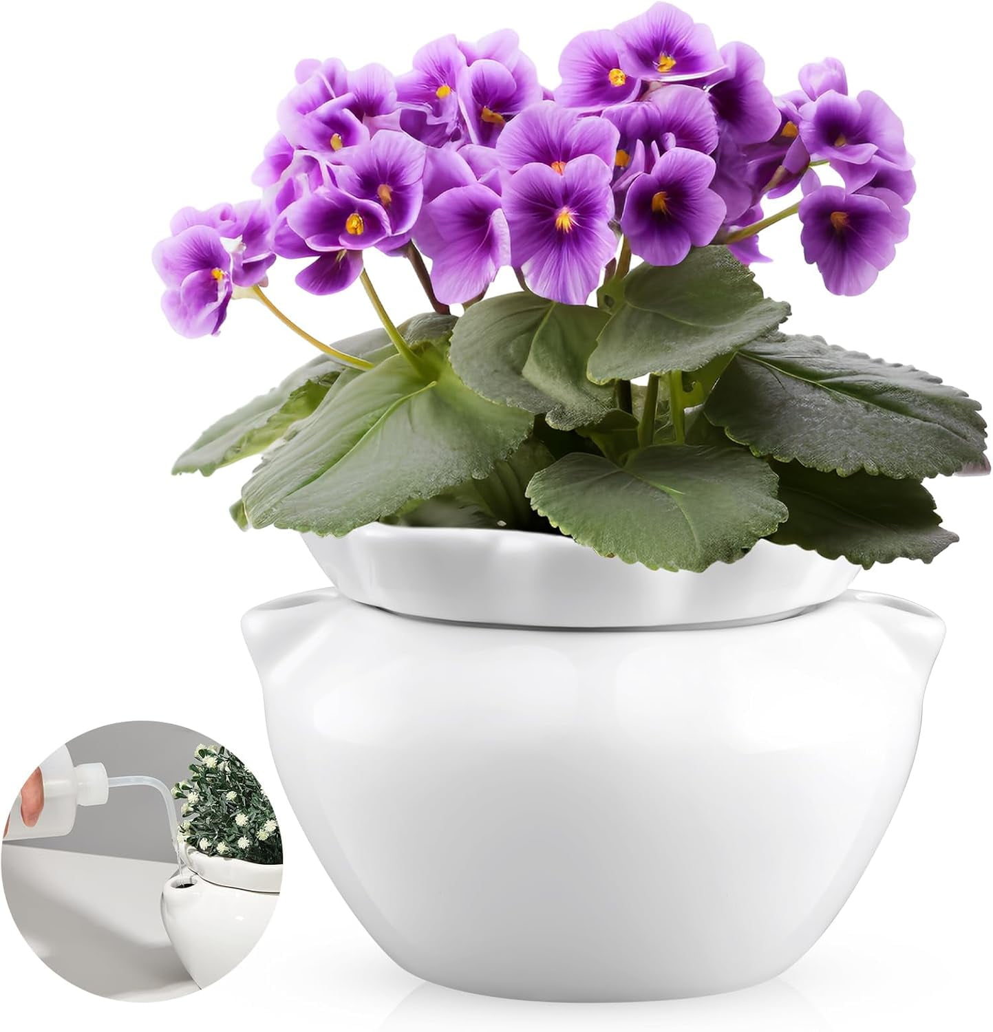 7.5 Inches African Violet Pots Self Watering White Ceramic Planter ...