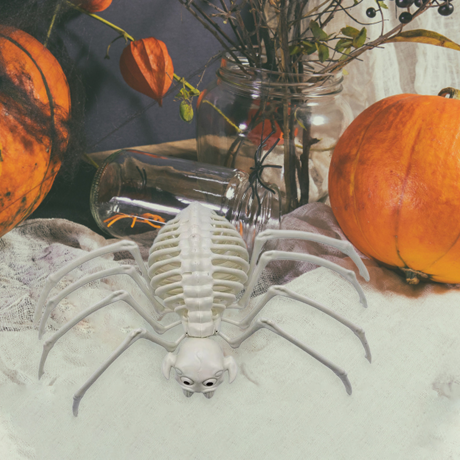 7.5in Halloween Posable Spider Skeleton Decor, Animal Bones for Indoor ...