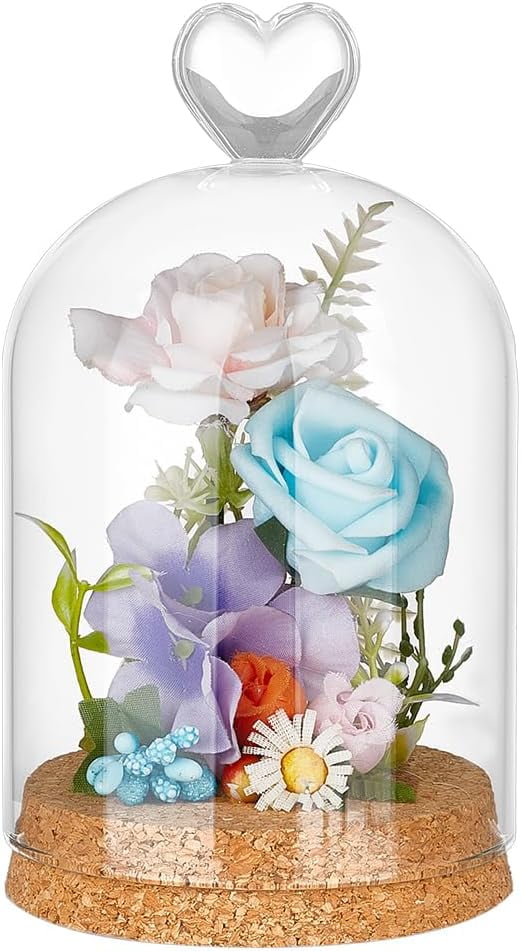 7.6x3.6Inch Glass Display Dome Dome Decorative Jar Glass Bell Jar with ...