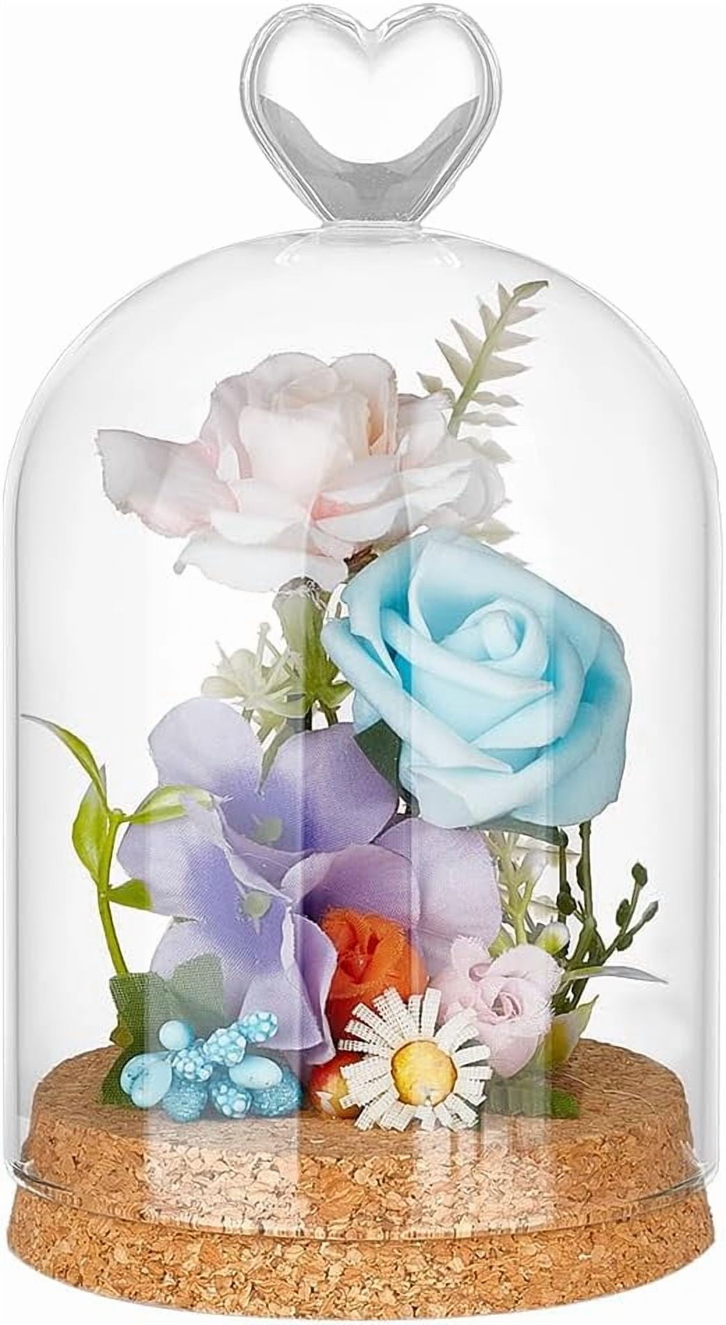 7.6x3.6Inch Glass Display Dome Dome Decorative Jar Glass Bell Jar with ...